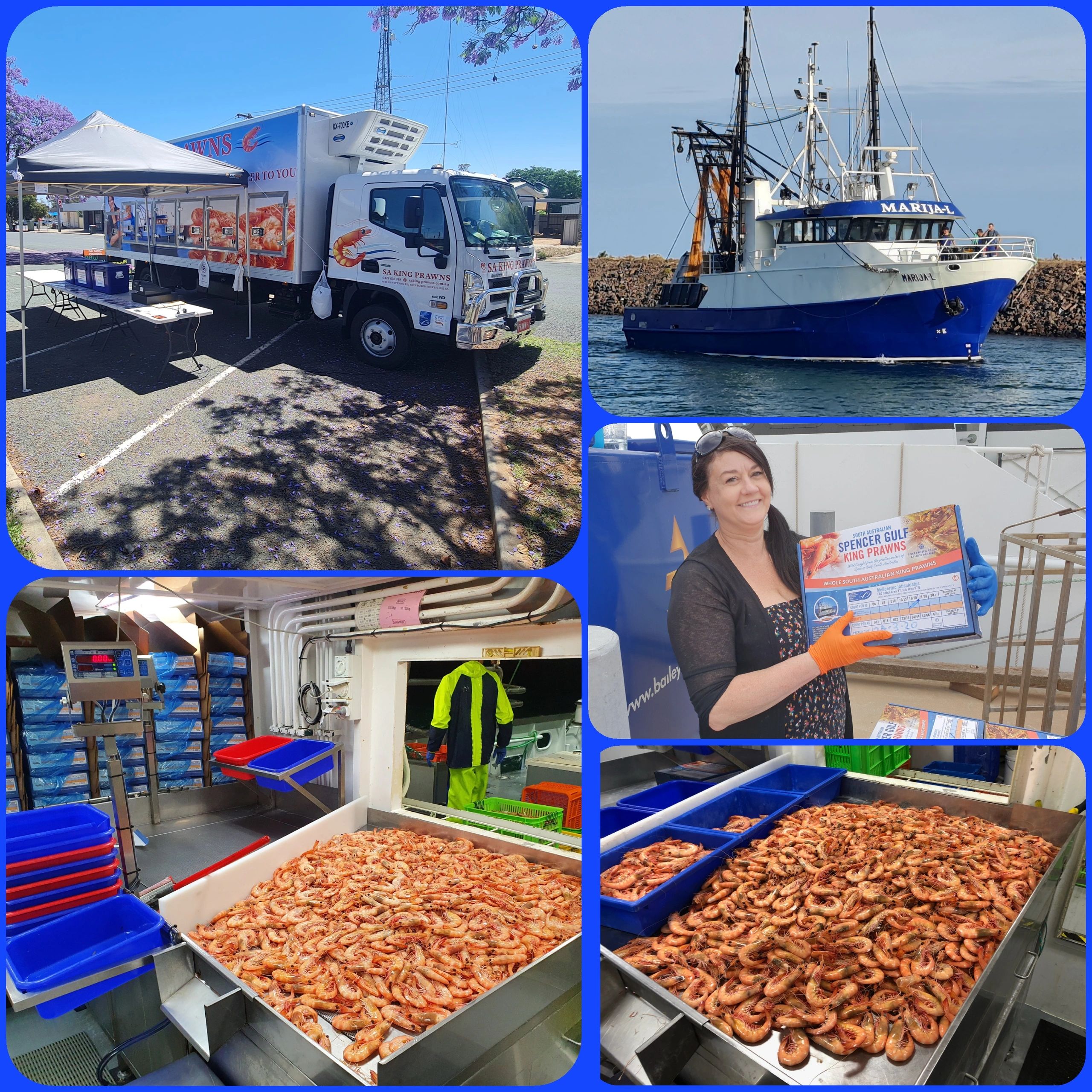 Seafood truck