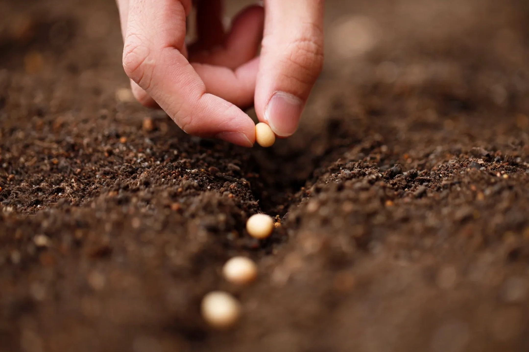 Blossom Growers Group