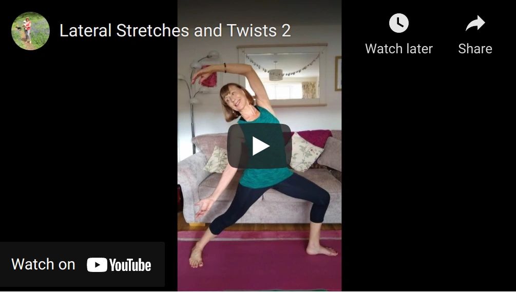 Lateral stretches and Twists 2