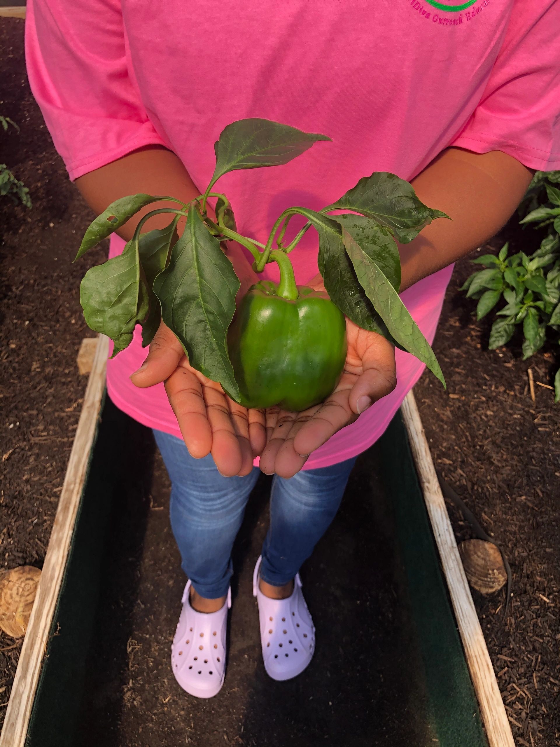 Community Collaborators