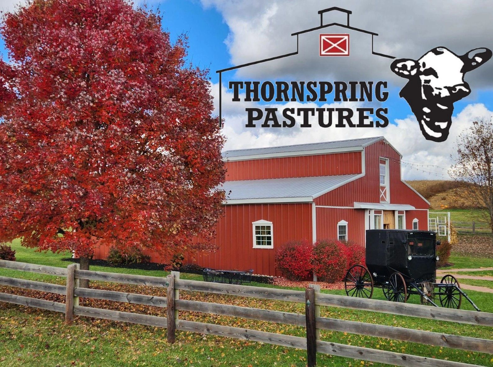Contact | ThornspringPastures.com
