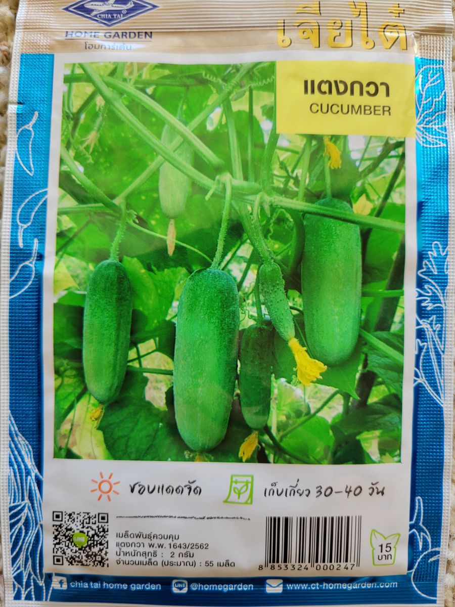 Thai / Asian Cucumber Seeds