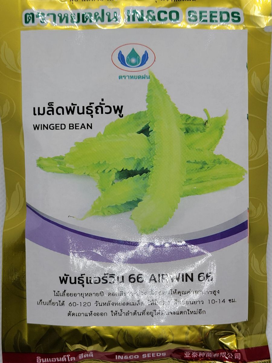 Green Winged Bean Seeds