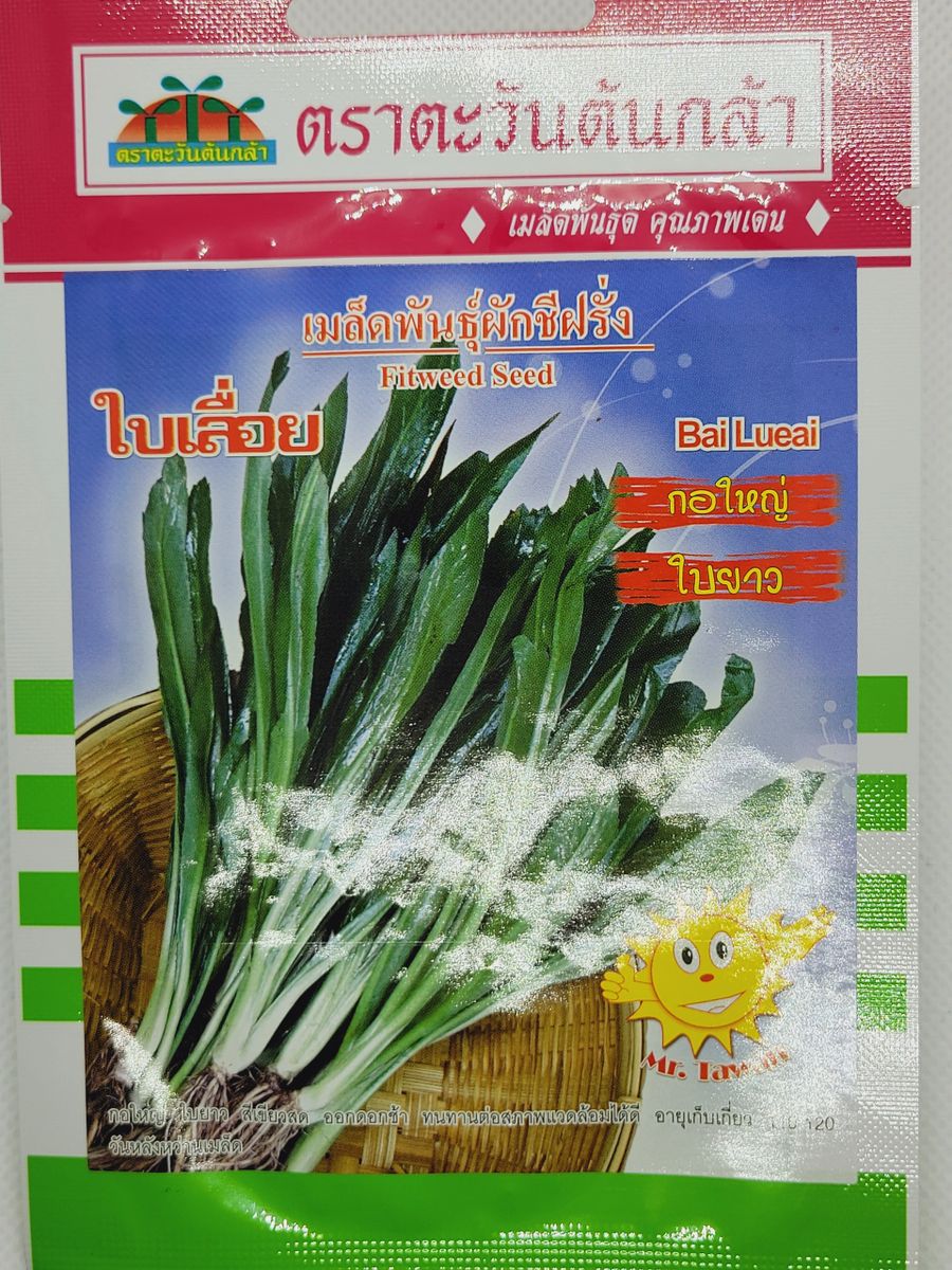 Thai Parsley / Thai Cilantro Seeds