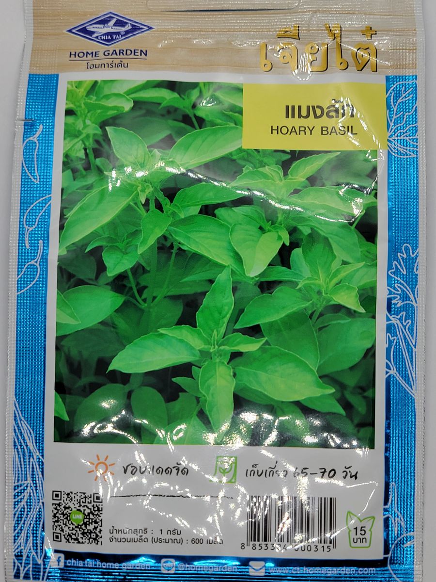 Hoary Basil Seeds AP