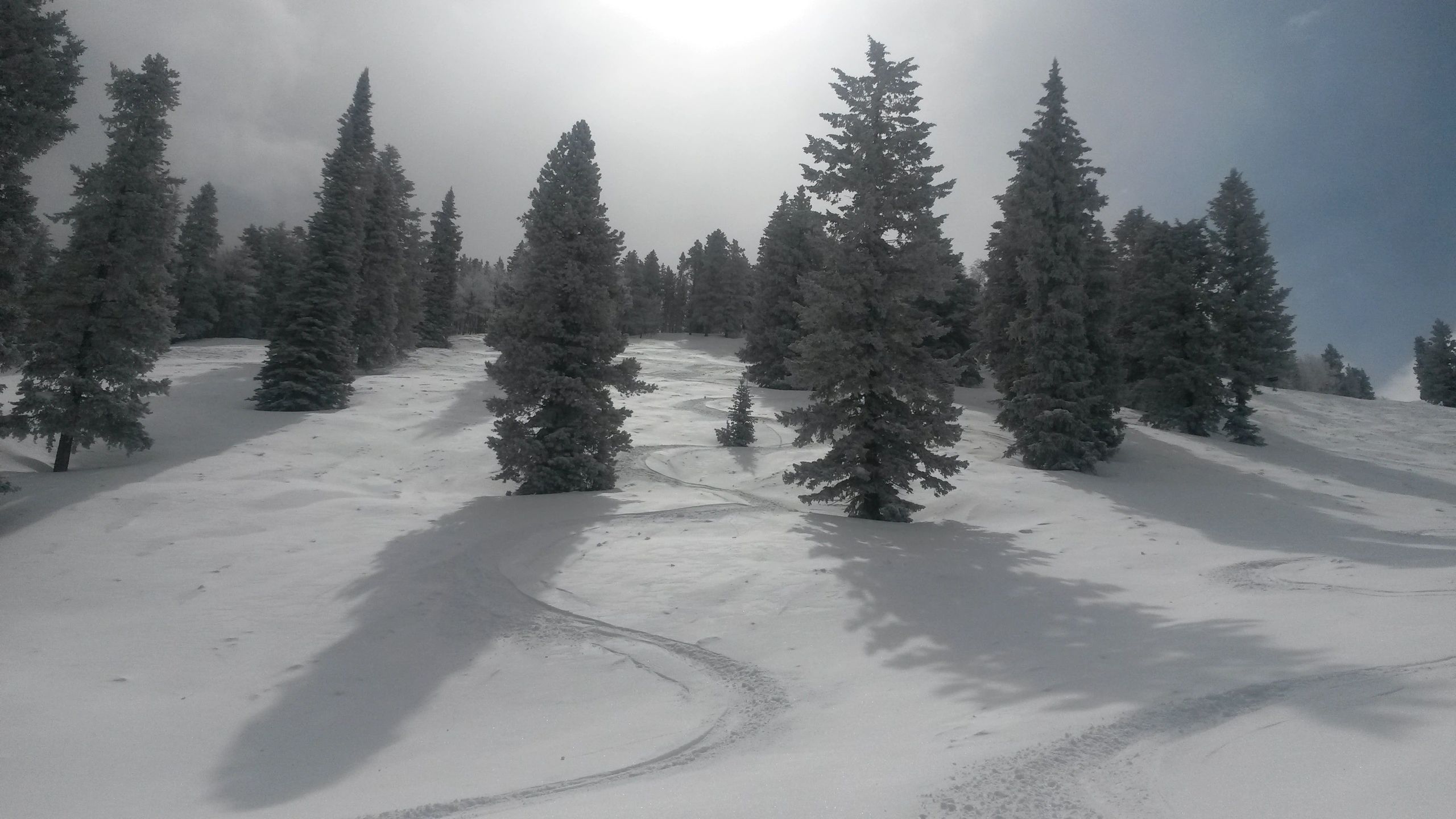 Performance Alignment - Ski Boot, Alignment Canting