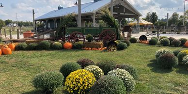 Home [waynesvillefallfest.com]