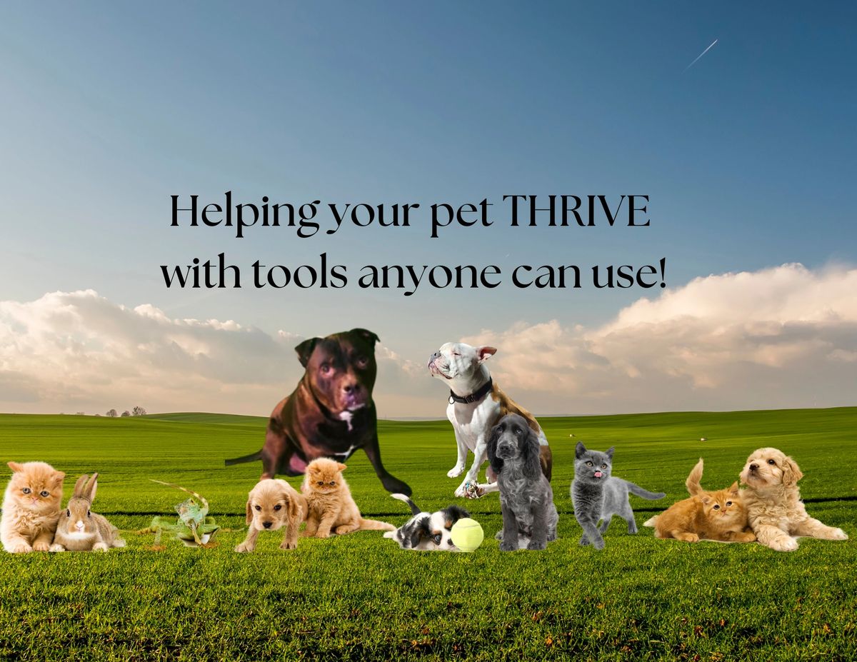 Help your pet Thrive! Virtual Class Feb 8