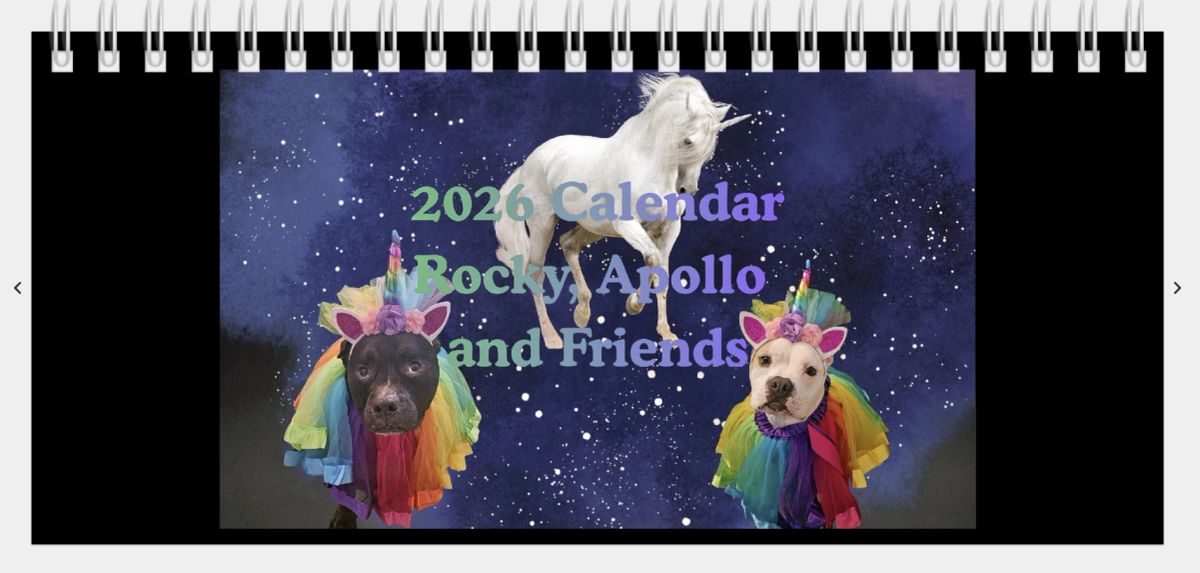 Rocky and Apollo 2026 Desk Calendar