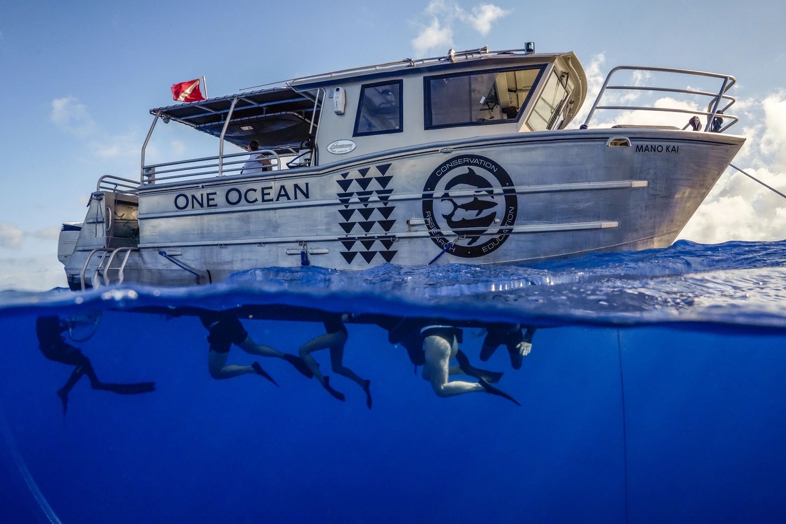 Rejuvenate Your Vacation: Why Shark Diving with One Ocean Diving