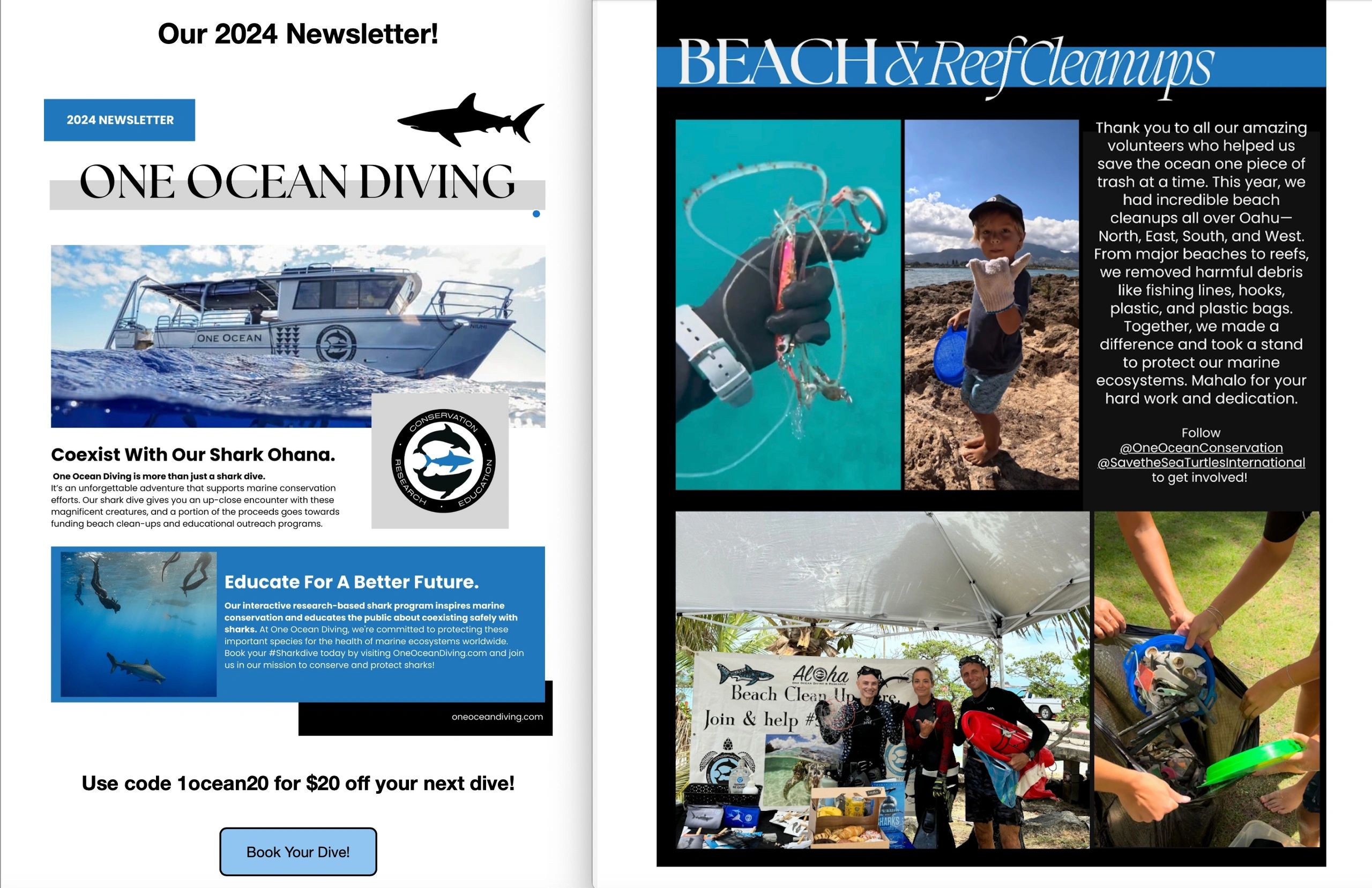 Celebrating 17 Years of One Ocean Diving: A Commitment to Sharks