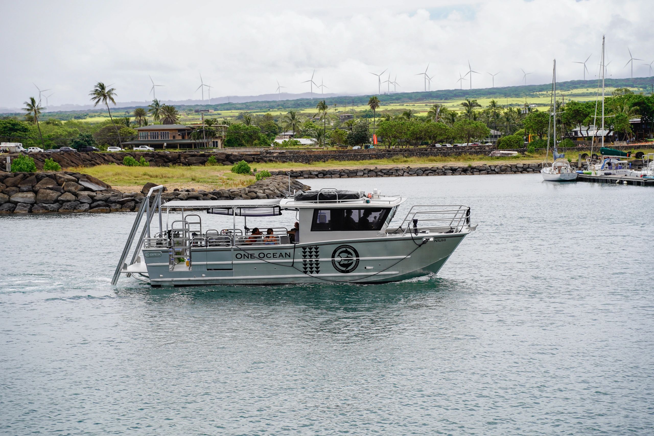 Discover the North Shore of Oahu: A Marine Life Paradise