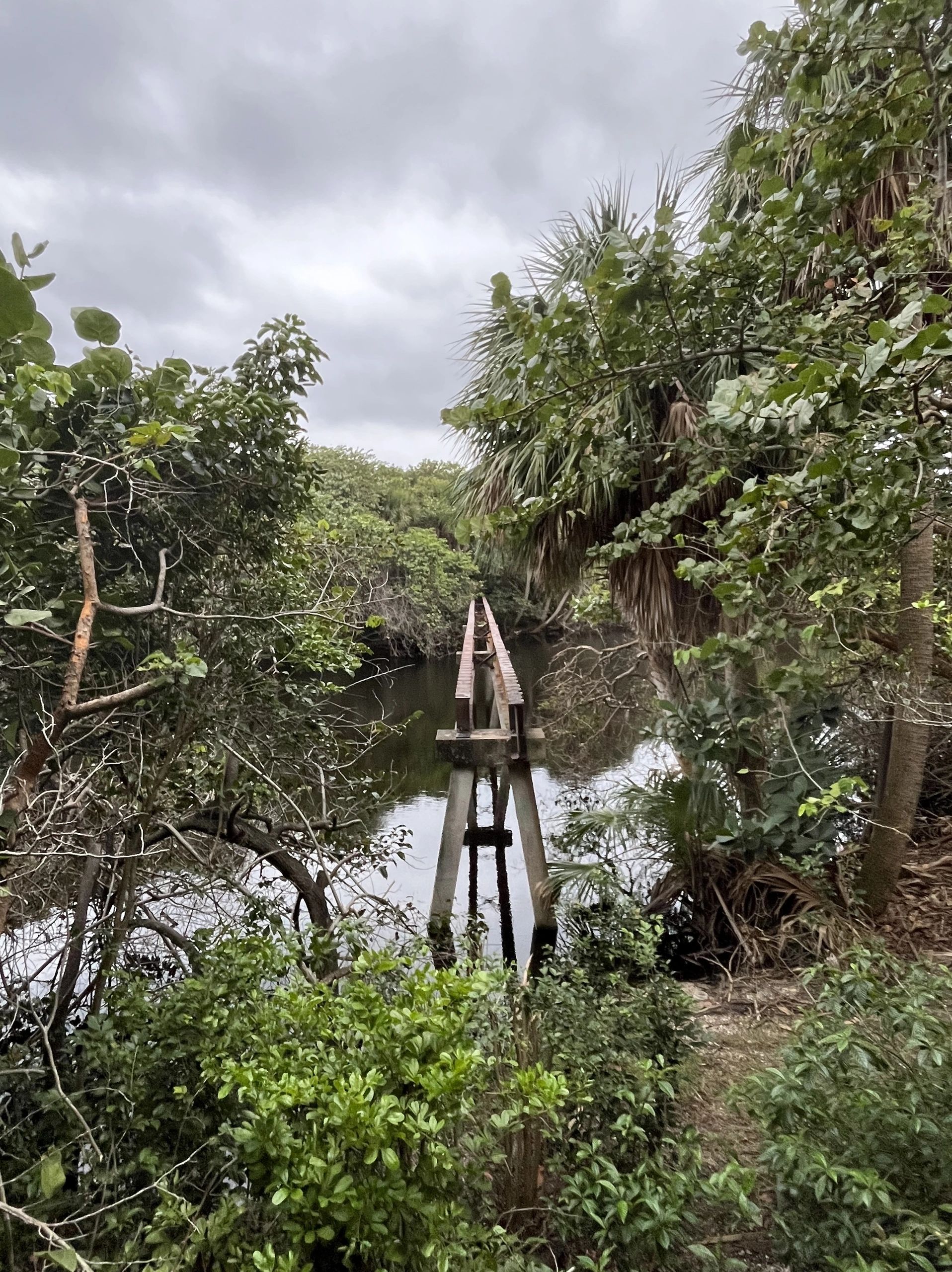 Reflection and Recovery