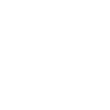 Budare Arepas Venezolanas