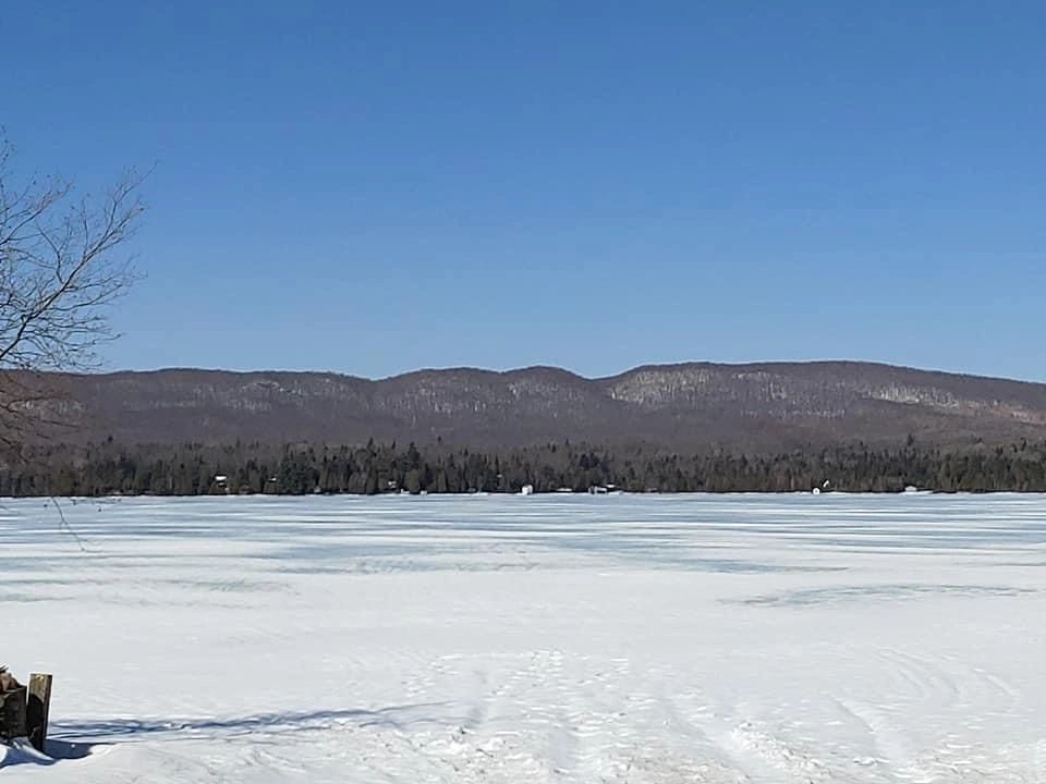 ProcellaCor EC Project