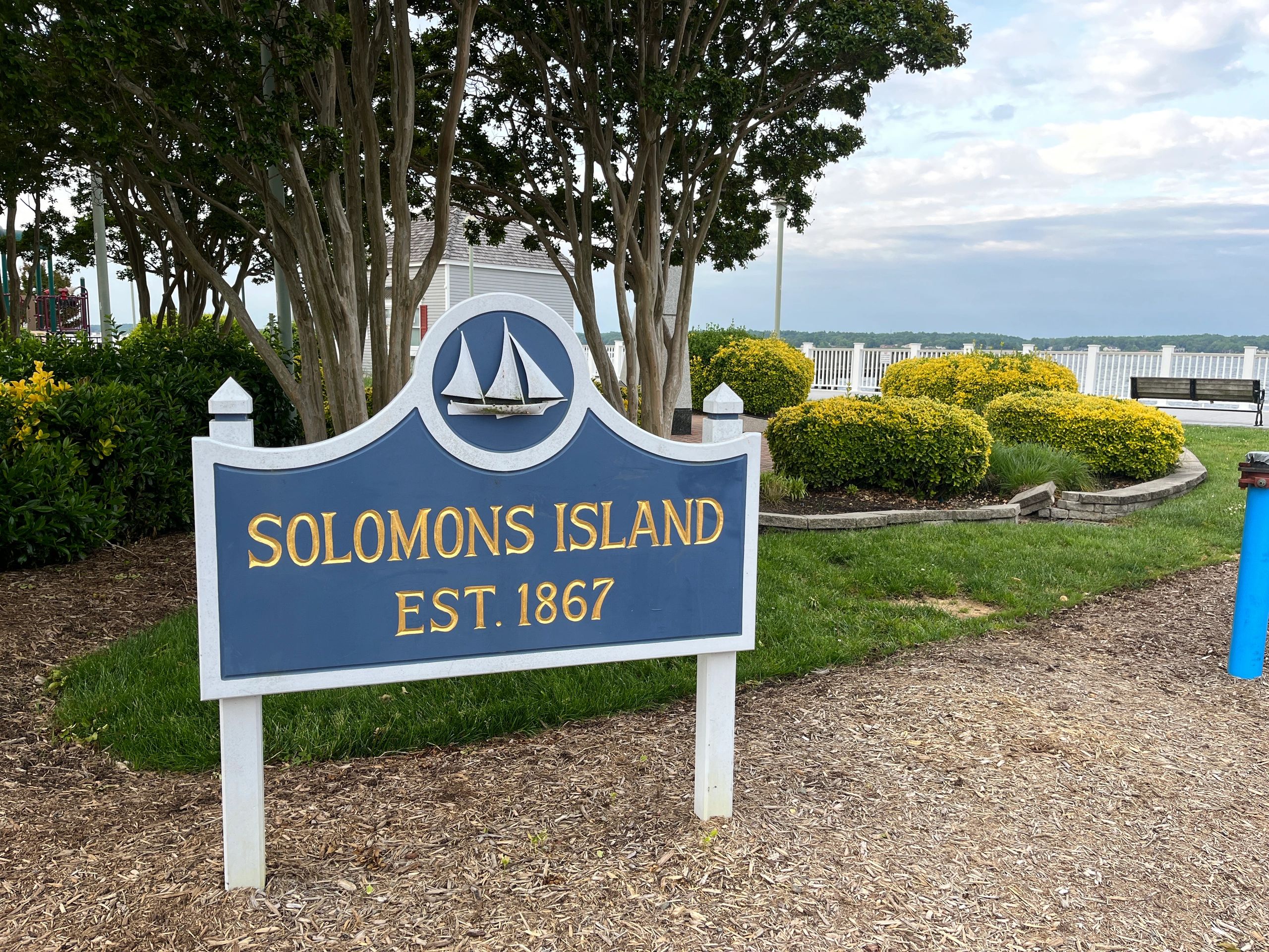 Solomons (Day 2)