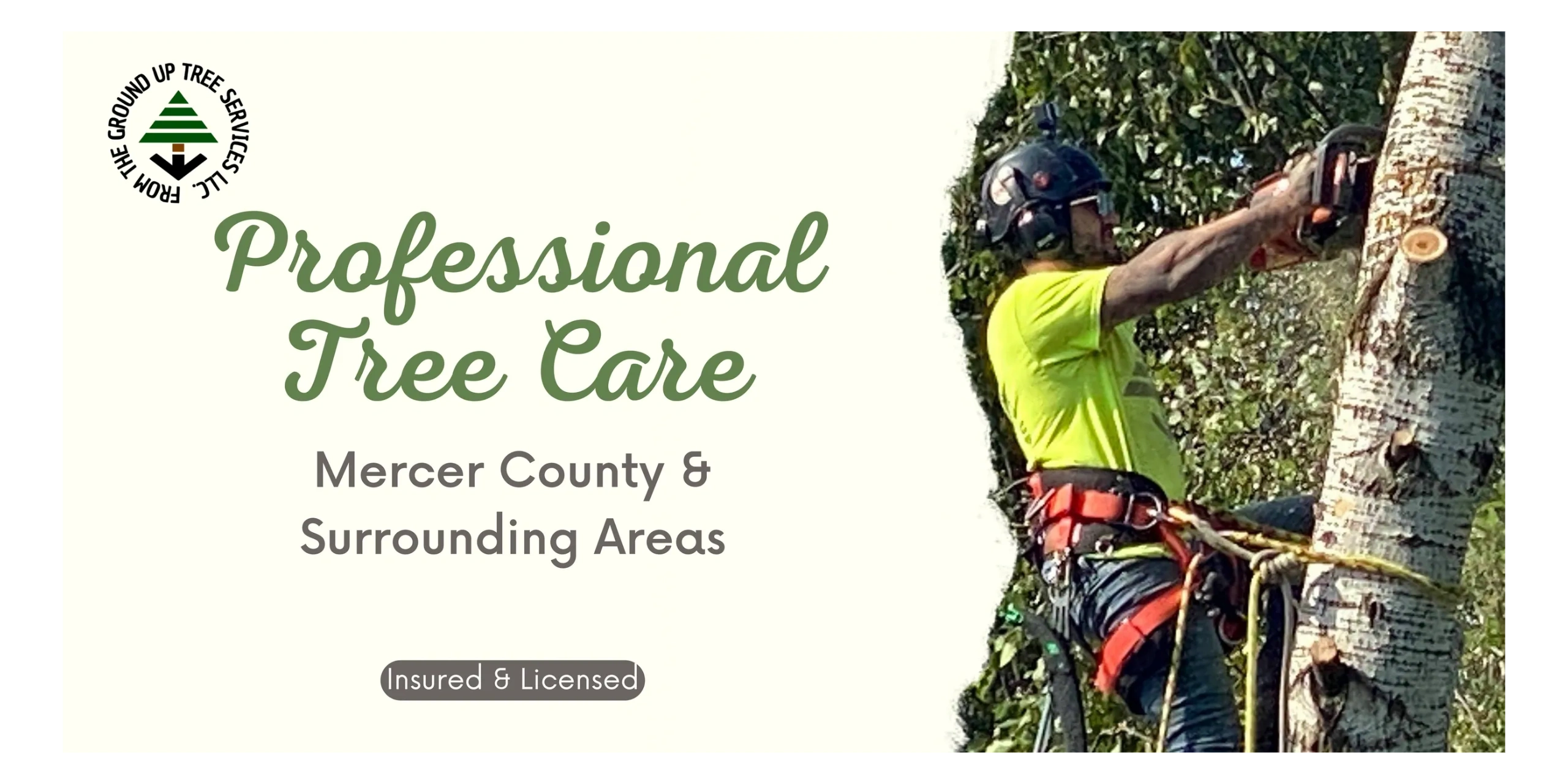 Professional Tree Care Services | From The Ground Up Tree Service