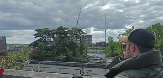 Ryder Tree Consultancy