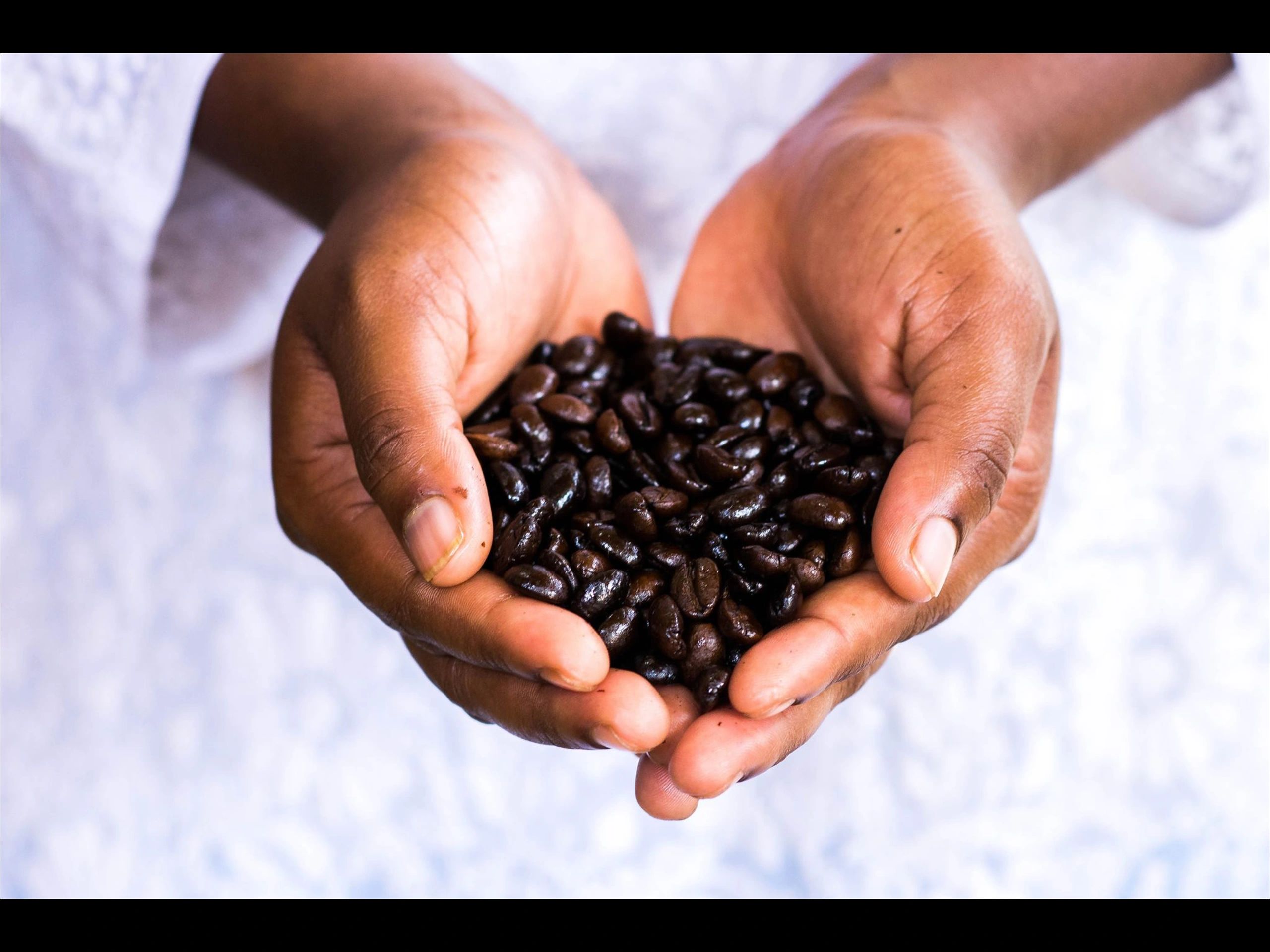 The Daily Bean - Cafe in Kothanur - Kamanahalli, Karnataka