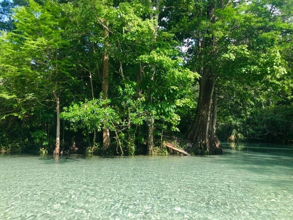 Epic Florida Vacation Rentals - Vacation Homes on the Water