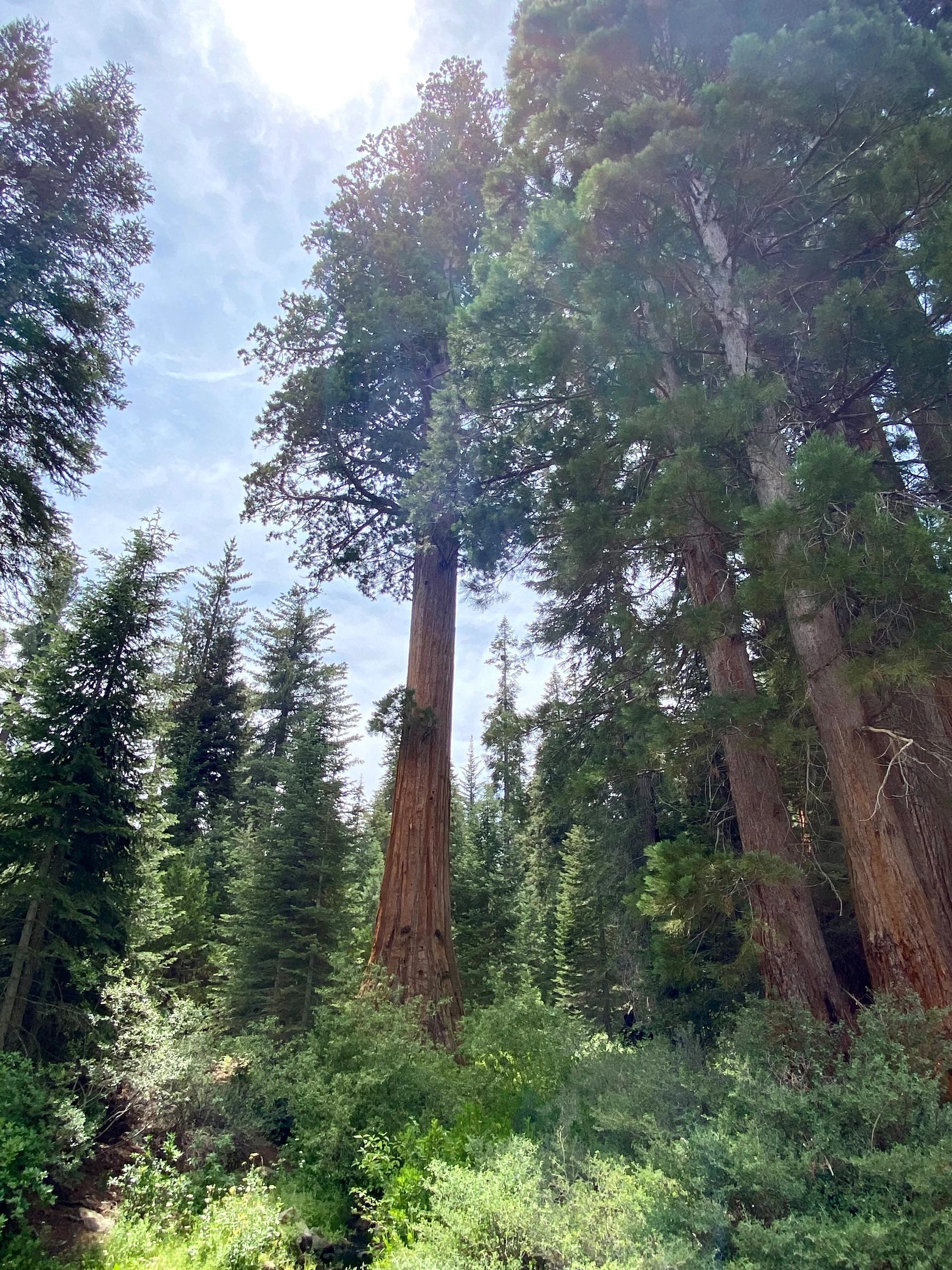 Sequoia Learning Community