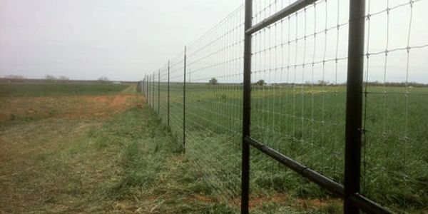 Exotic Game, cattle & hog fencing services | 421 Fencing
