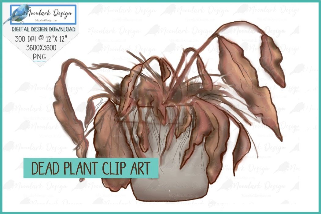Dead Plant PNG Clip Art