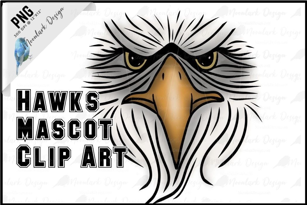 Hawks Mascot Clip Art - School Spirit PNG - falcons, eagles, bird
