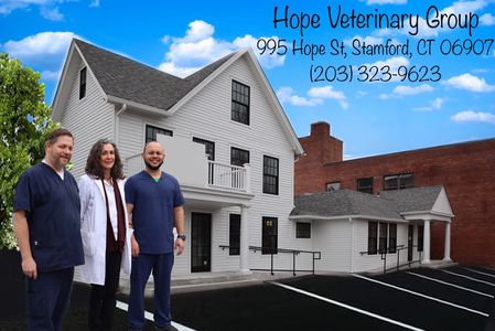 Hope Veterinary Group - Veterinary Hospital, Pet Care