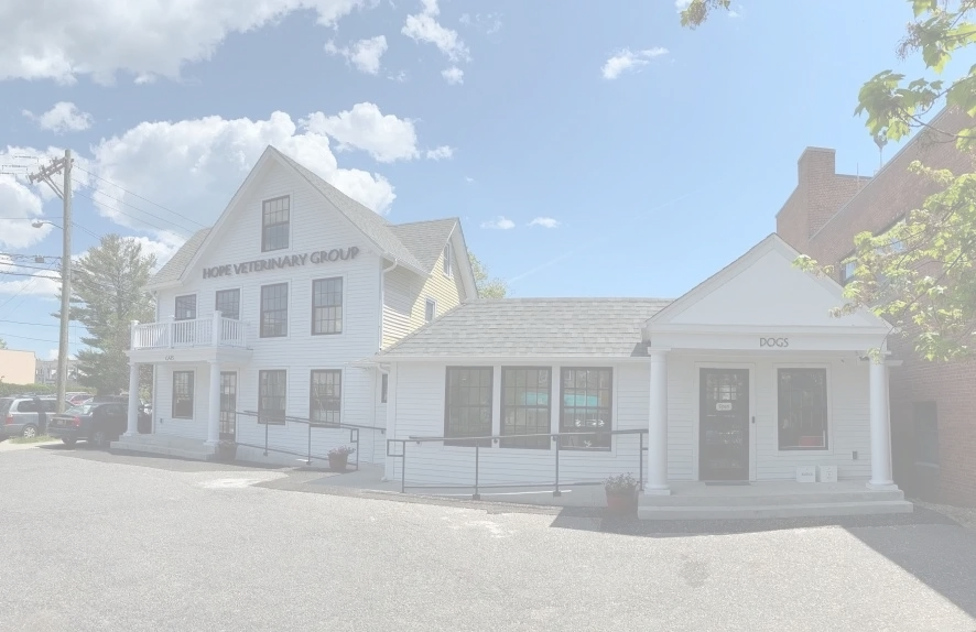 Hope Veterinary Group - Veterinary Hospital, Pet Care