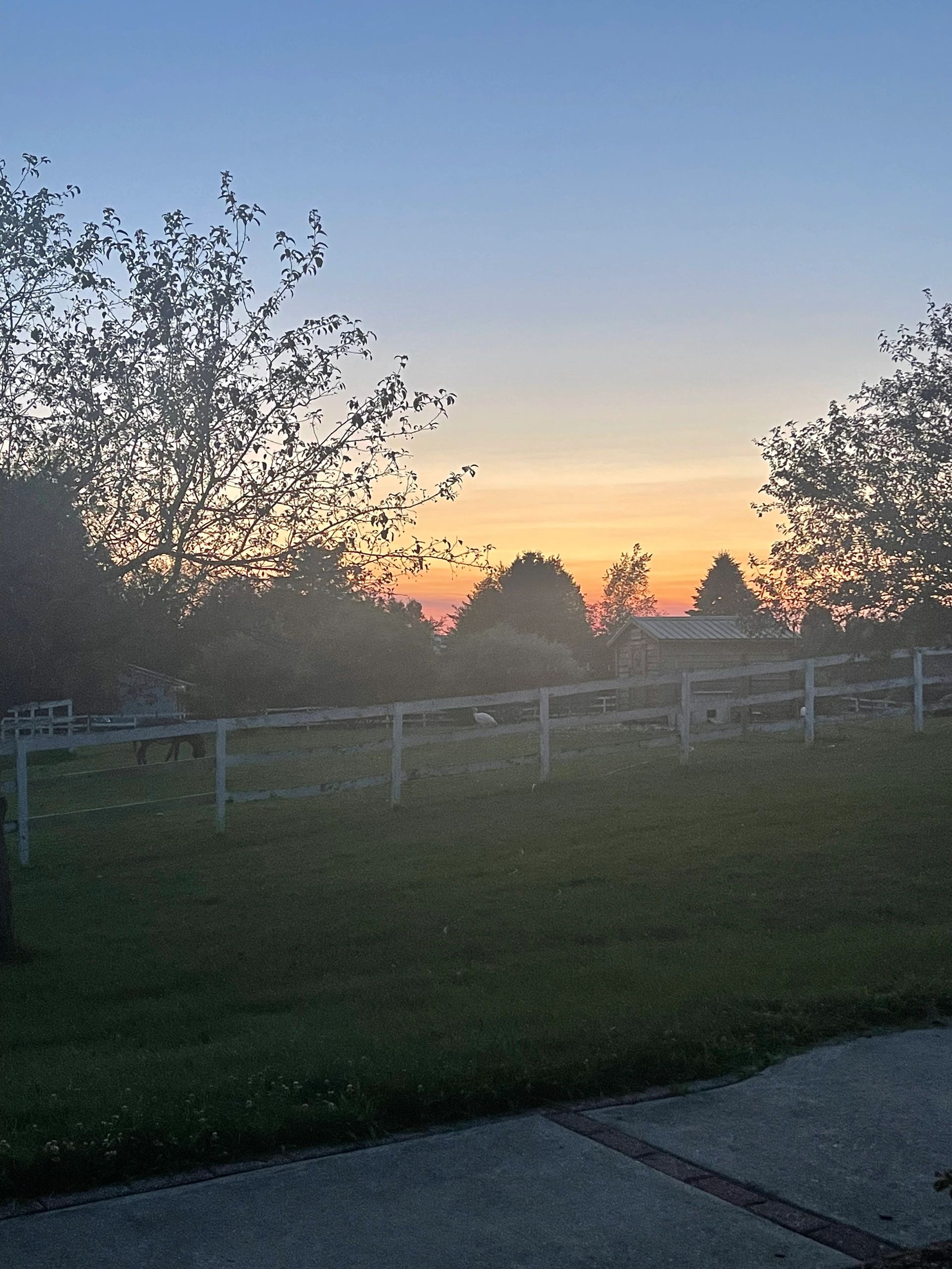 Embracing the Tug of Change: A Mid-Summer Reflection