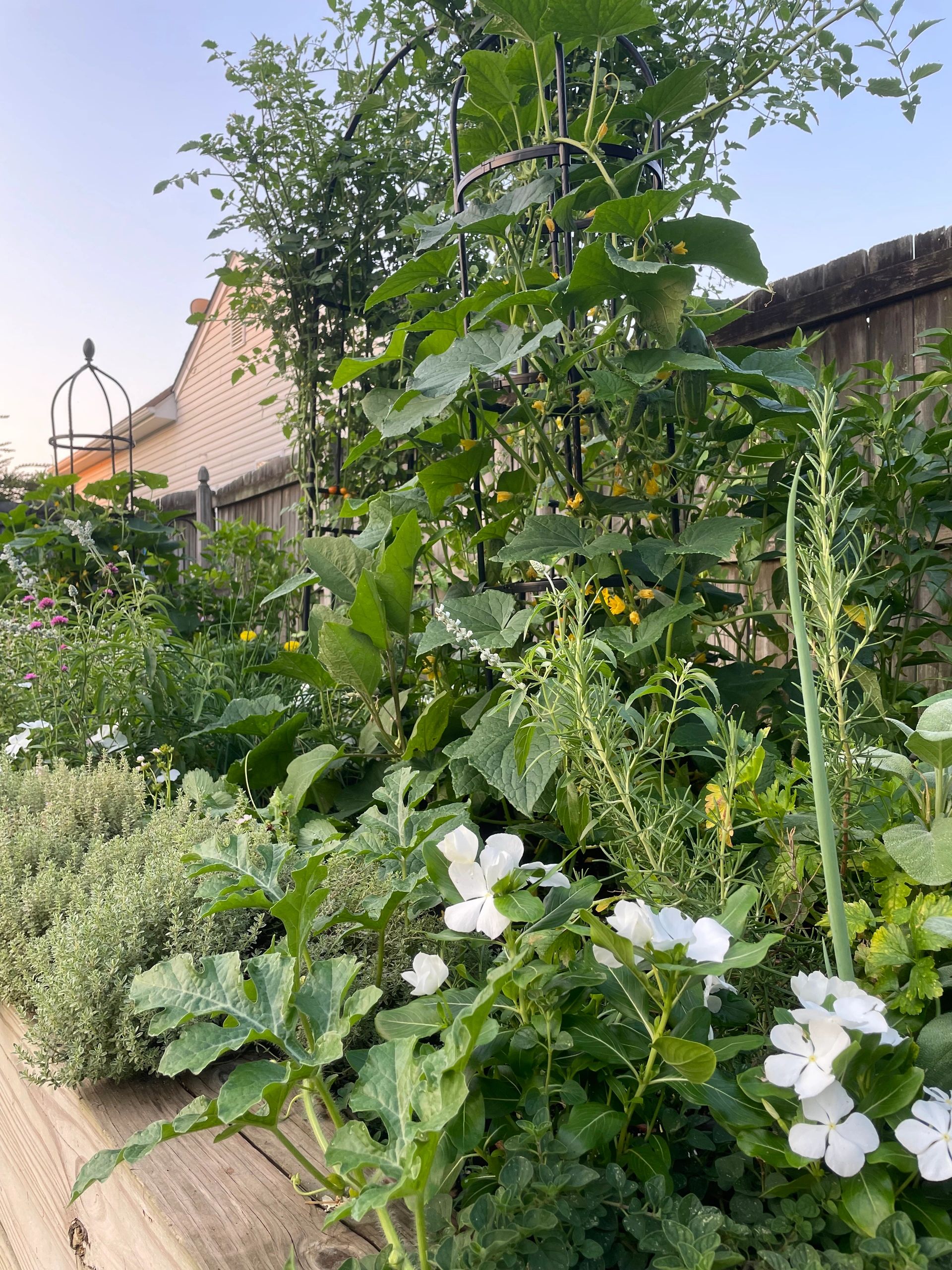 SEASONS GUIDE | Simply Rooted Garden