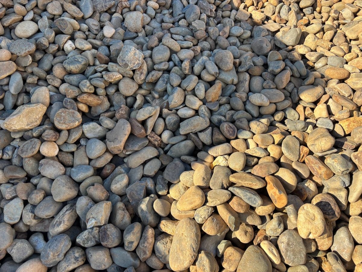 Yosemite Cobble
