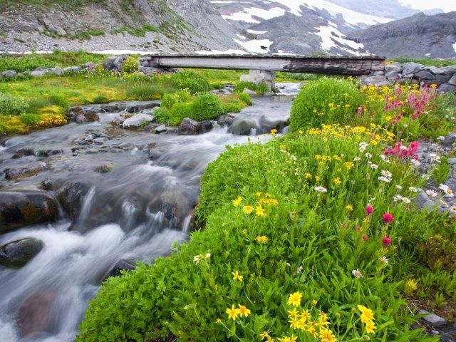 Relationship Myths | Relational Counseling Services