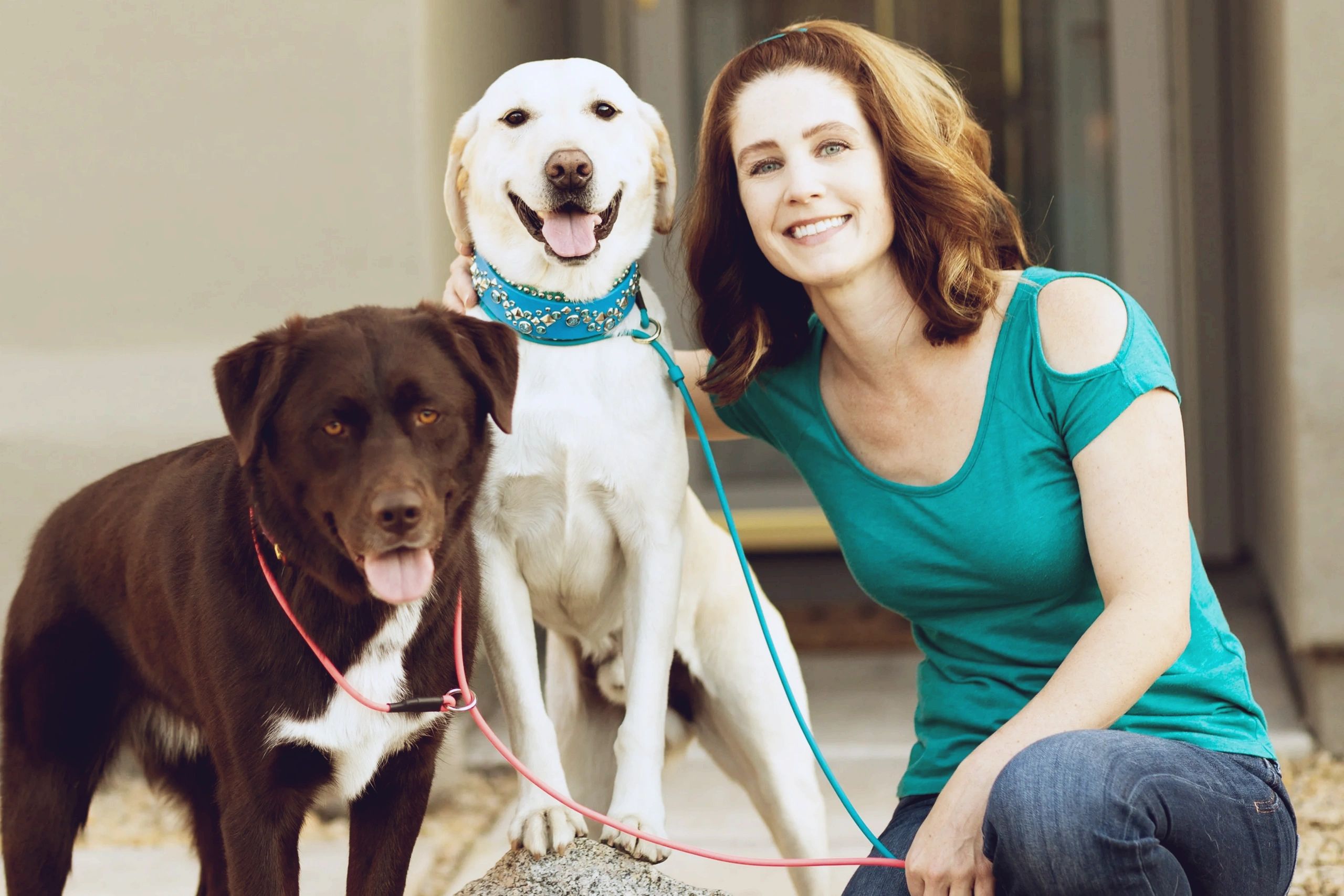 In-Home Veterinary Care by Dr. Holly Rice