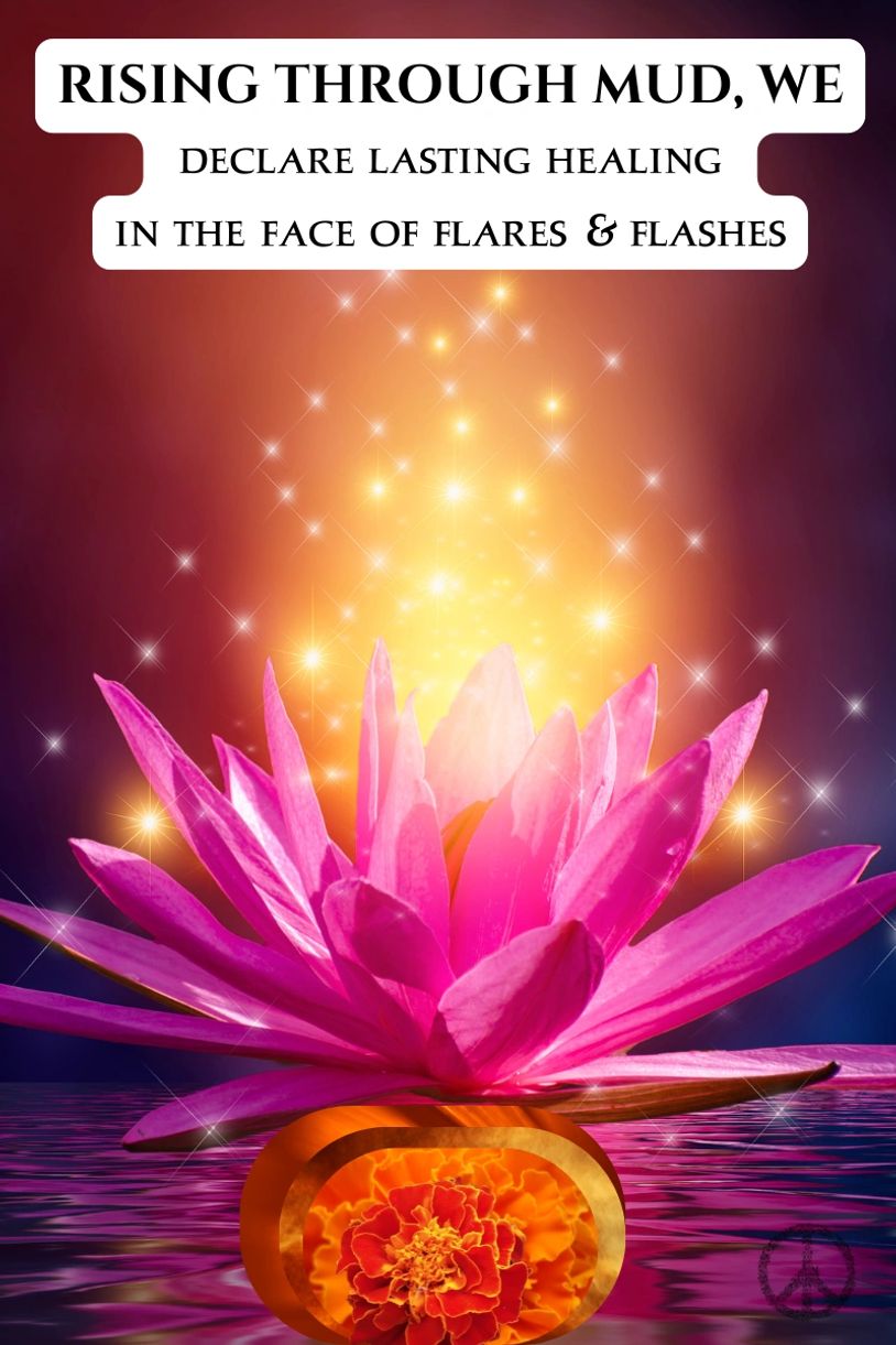 Your Guide From the Wild - Development - Wildflower Wisdoms