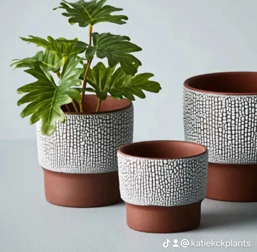Terracotta and white textured pots