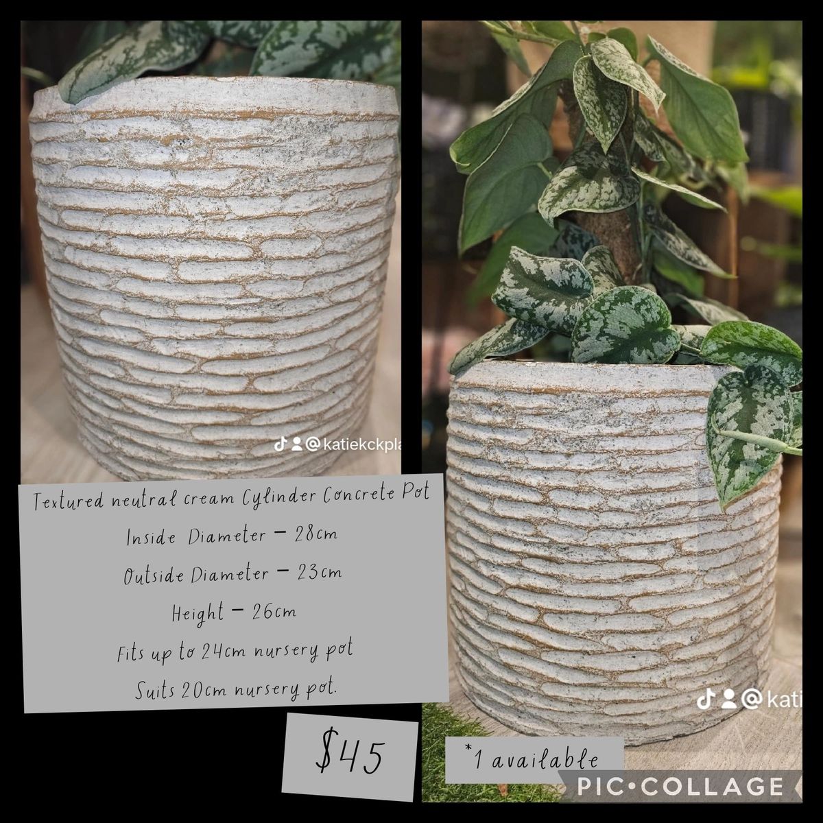 Textured cream cement pot