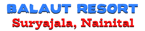 Destination Weddings | Balaut Resort Nainital