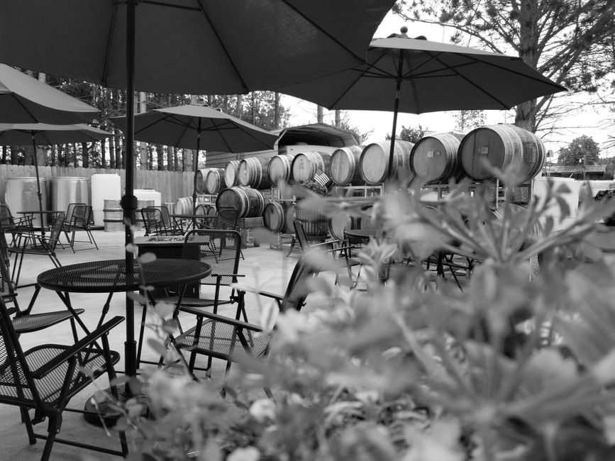 Wine Club | Vitis Ridge