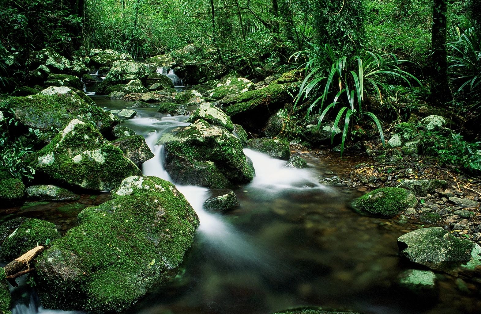 NatureBank, A Treasure Trove of Australia’s Unique Biodiversity