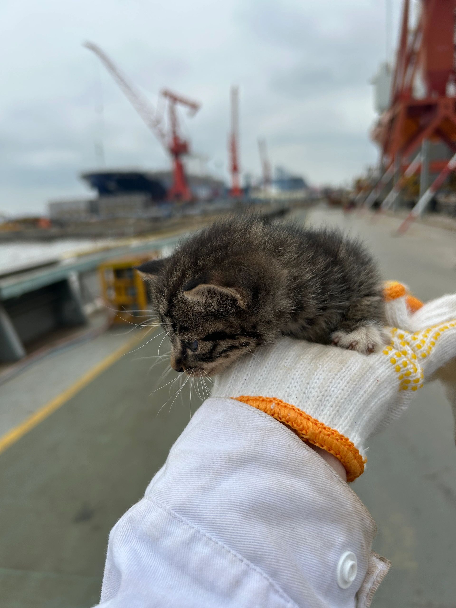 Carly Jackson | Future of the ocean