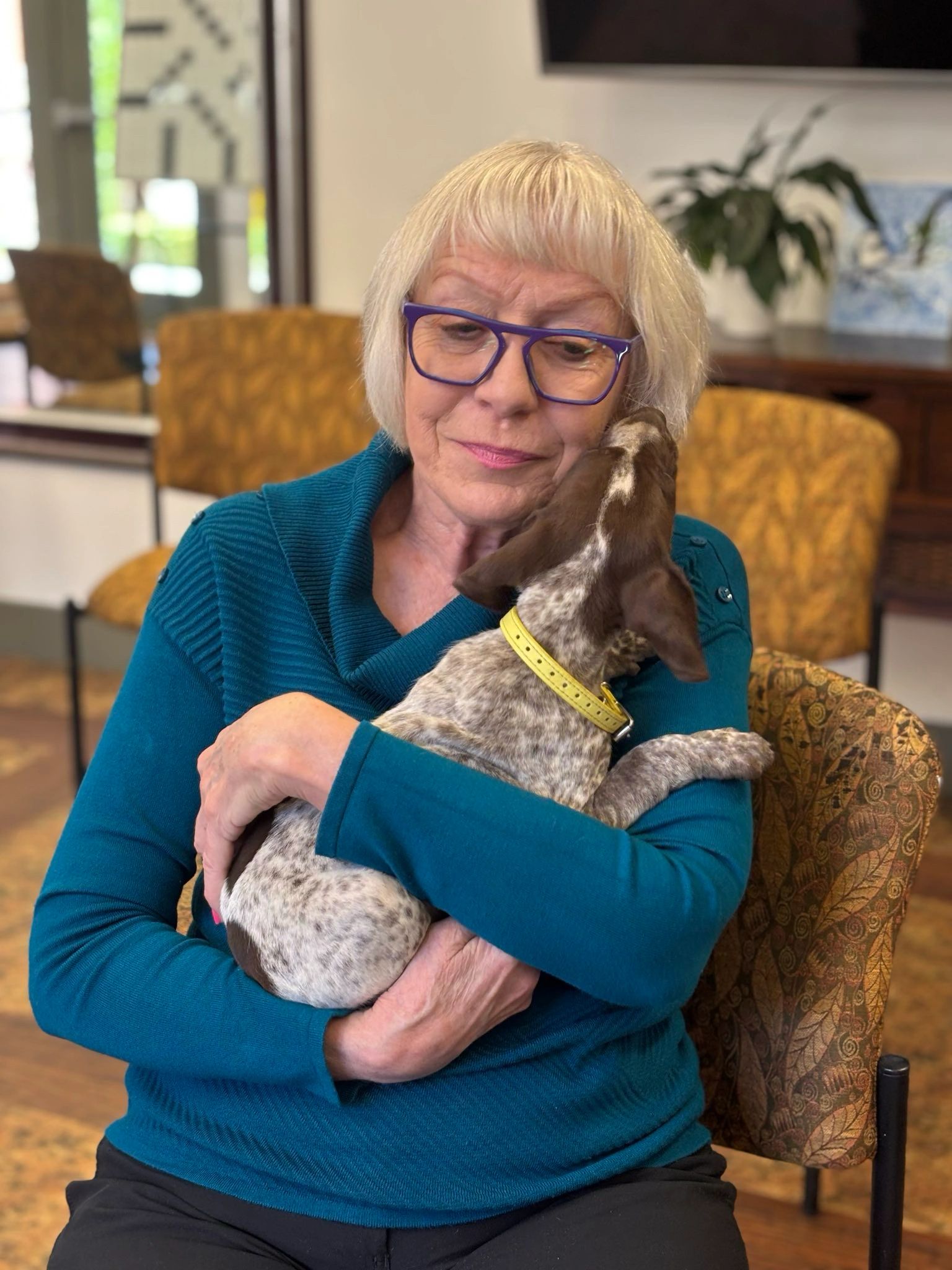 GSP puppies visiting retirement residence