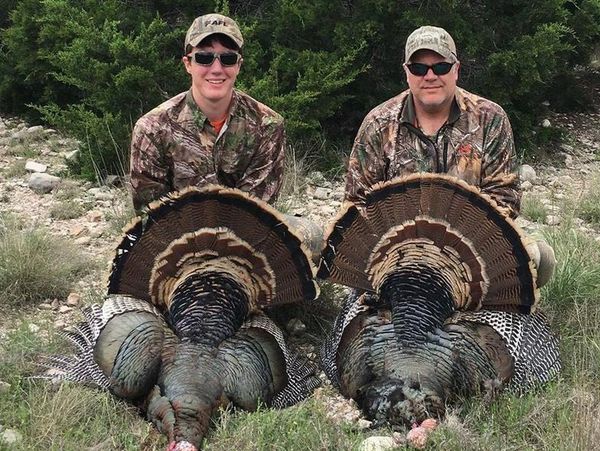 BOSS HOG HUNTS - Hog Hunting, Hog Hunting, Hunting Hunt, Outdoors