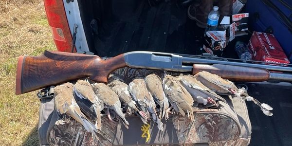 BOSS HOG HUNTS - Hog Hunting, Hog Hunting, Hunting Hunt, Outdoors