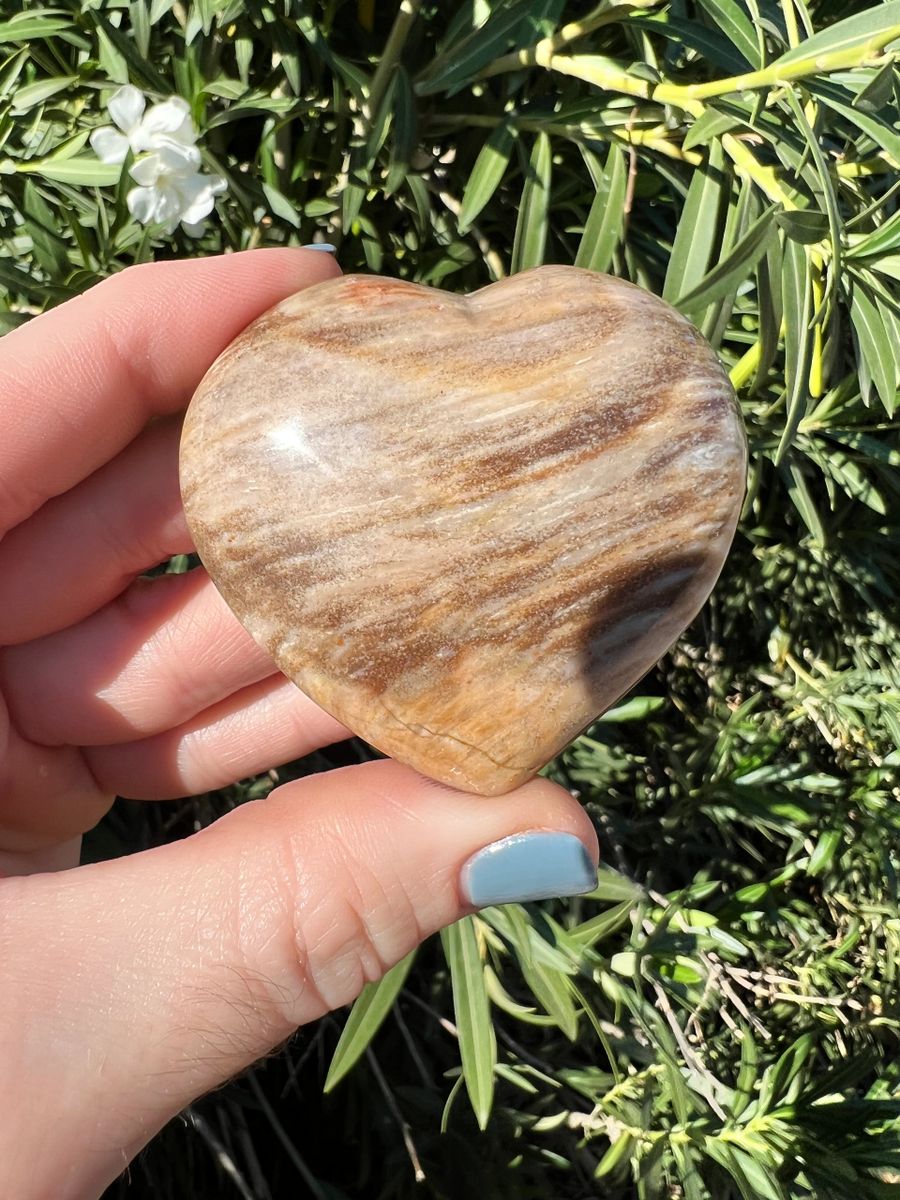 Petrified Wood Heart 6