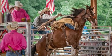 Phillips Rodeo Productions