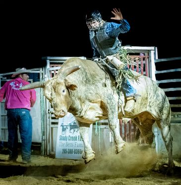 Phillips Rodeo Productions