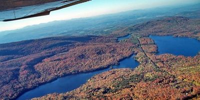 Lake Armington Association