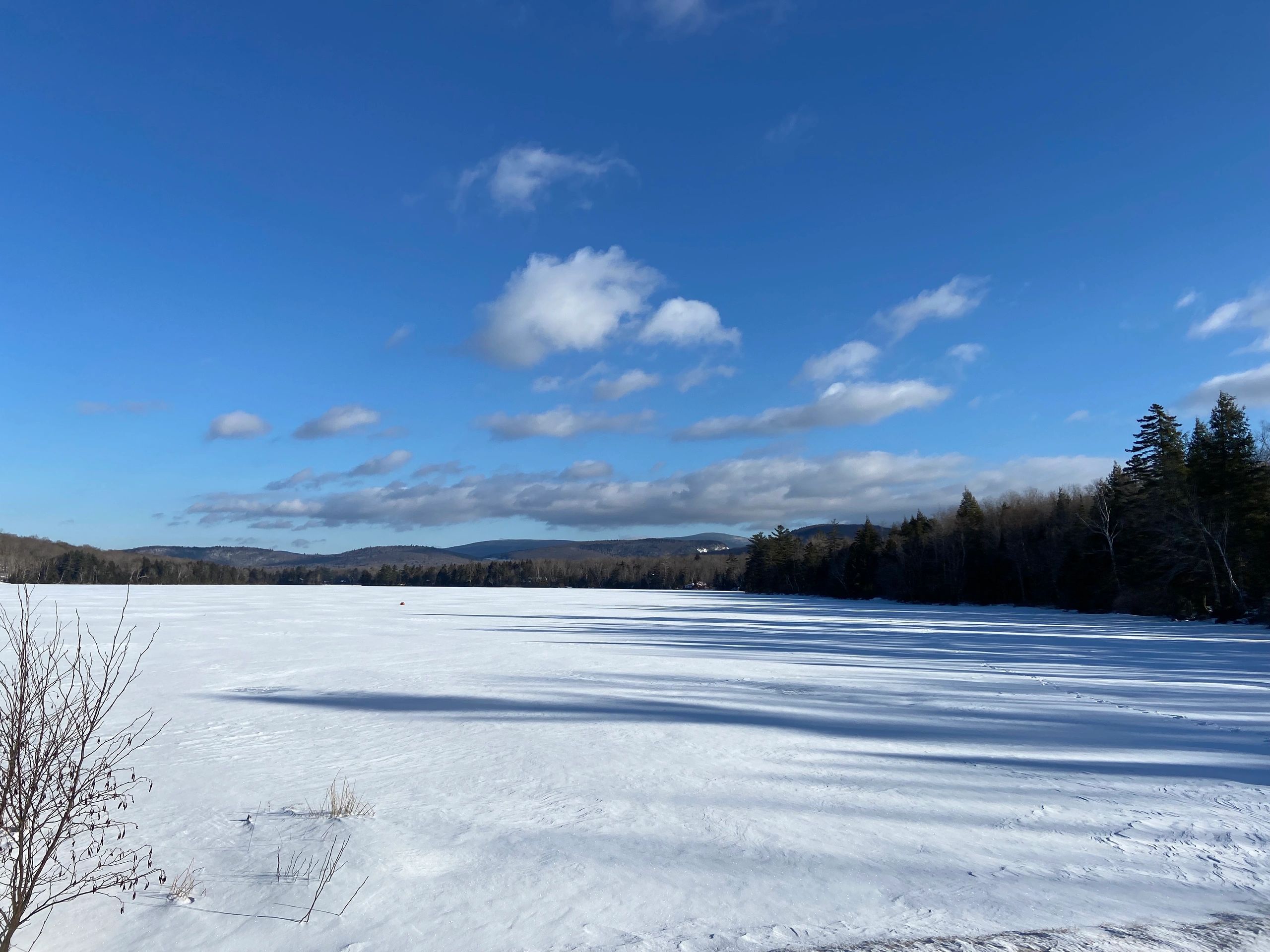 Lake Armington Association